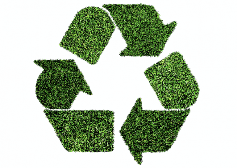 Les biodéchets & leurs revalorisations | BIOBEEBOX